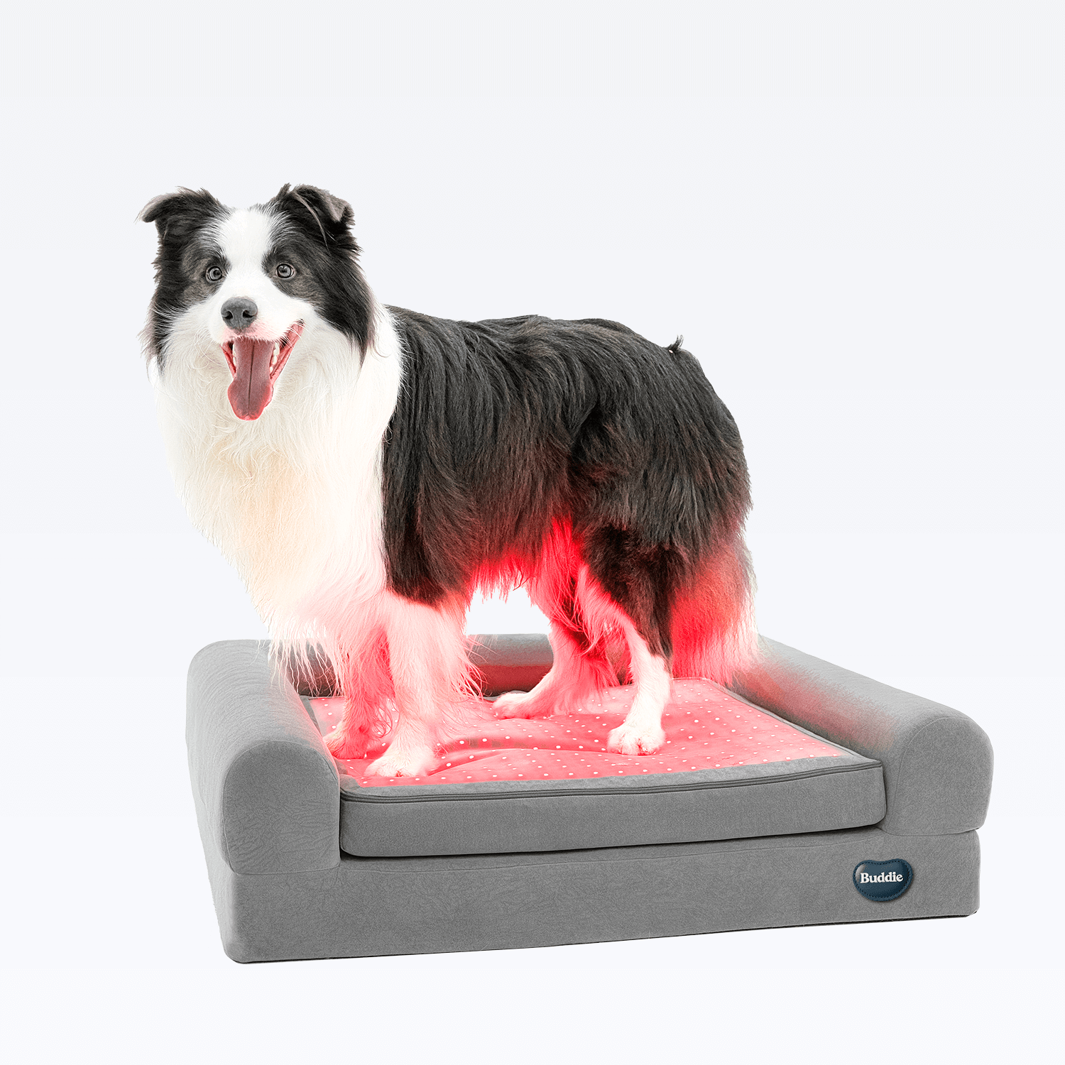 Beddie Pet Therapy Bed – Supernatural